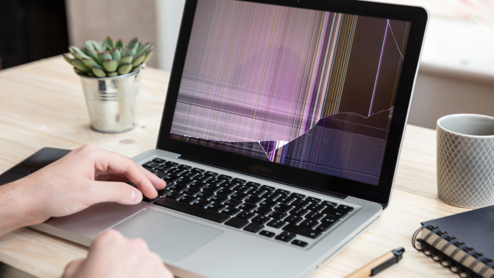 Dell Basic Support vs ProSupport | Best Dell Warranty for Your Hardware